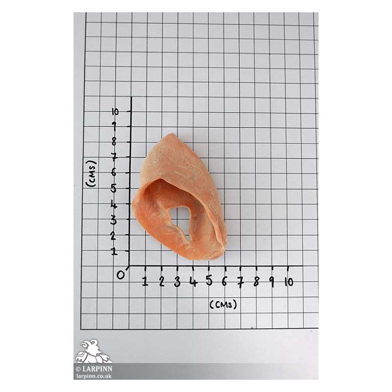 Halfling/Hobbit Ears with Adhesive - Prosthetic Ear Tips - LARP & Cosplay