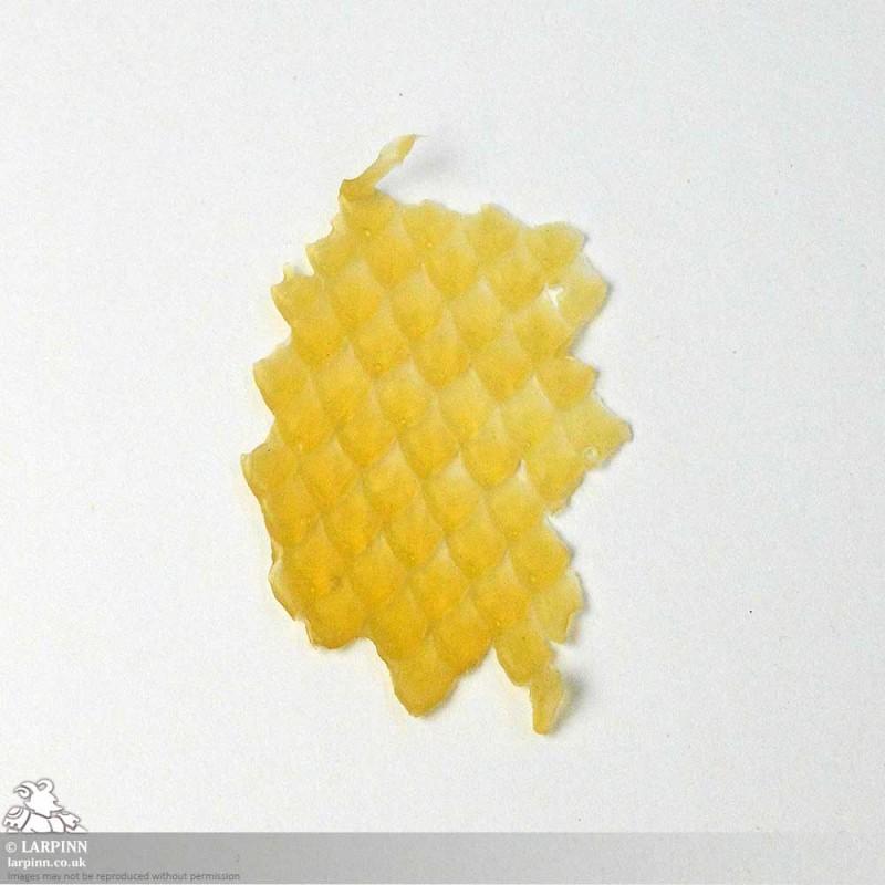 Naga Prosthetic - Snake Scale FX - Dragon - Mermaid - Fish - Make Up ...